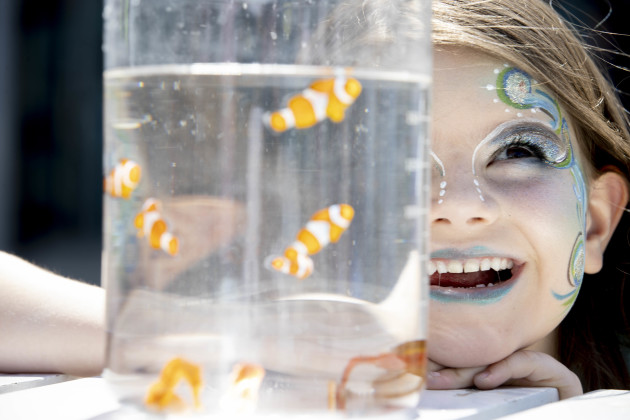 ‘Fundrum’ for all as the FREE Family Festival at Dundrum Town Centre ...