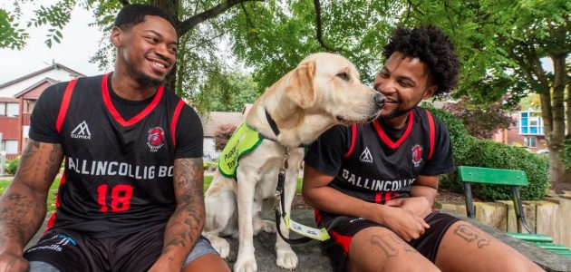Irish Guide Dogs for the Blind announces exciting partnership with ...