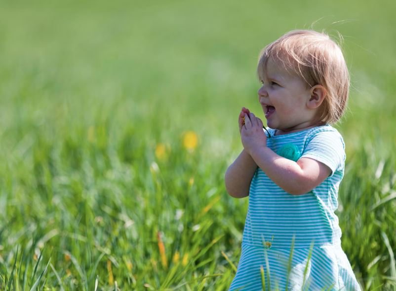 Mastering the potty – your simple guide to successful potty training ...