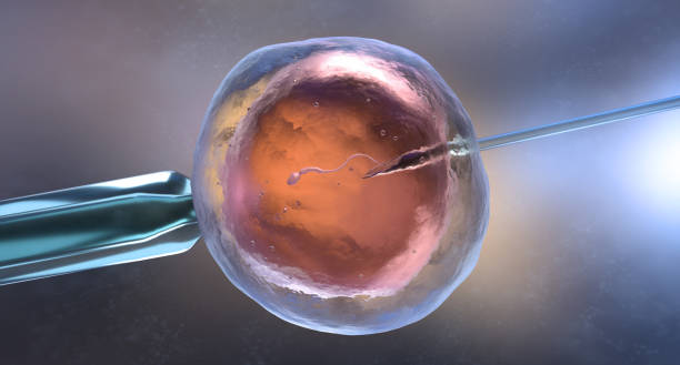 Breaking barriers: Thérapie Fertility expands access to IVF across ...